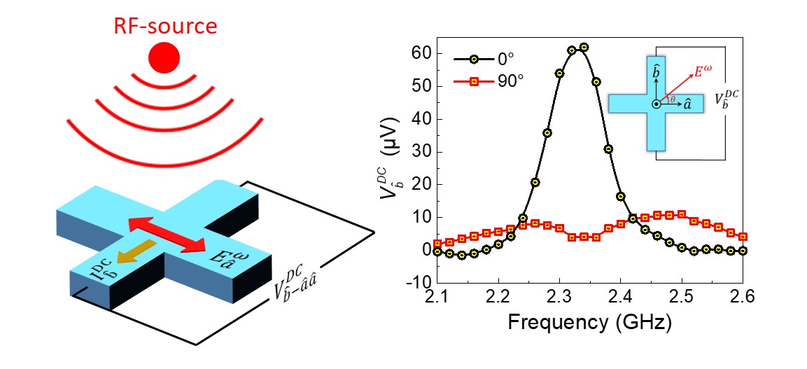 Room-temperature nonlinear Hall effect and wireless radiofrequency rectification in Weyl ...